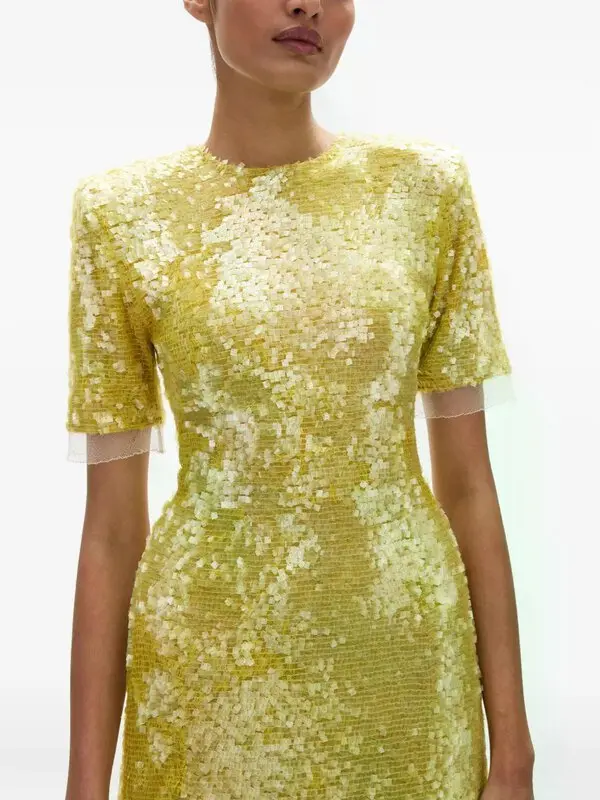 Rachel Gilbert Kaia Sequin Sleeve Midi Dress