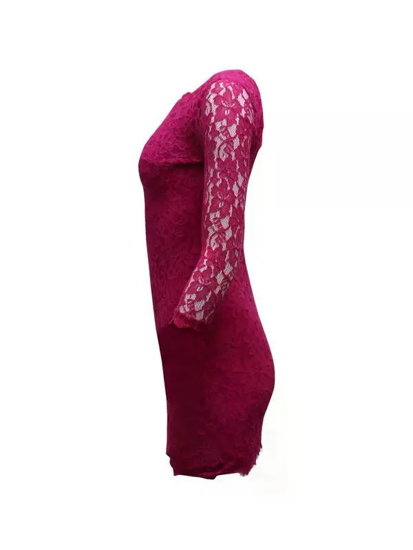 lace mini dress pink PINK x LoveShackFancy Strapless Lace Mini Dress Everblooming PINK / XL main image 0