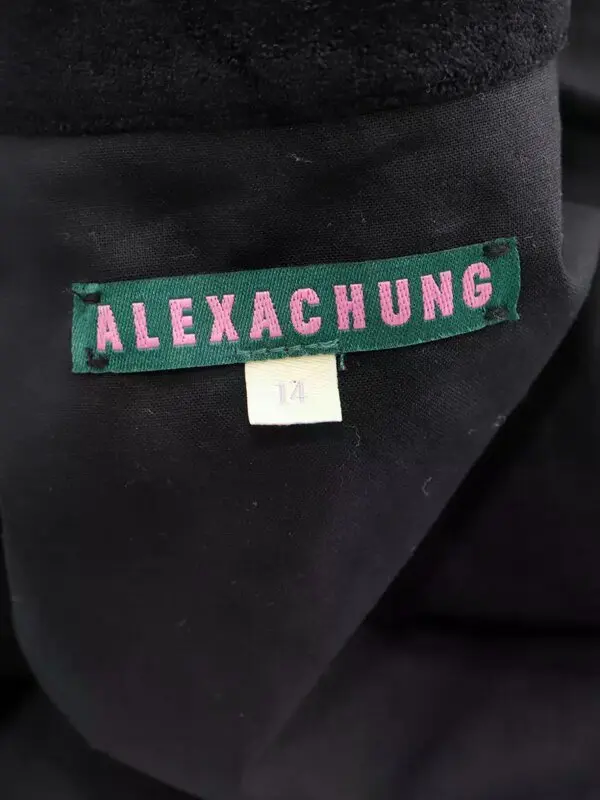 Alexa Chung Buttoned Collar Jacket
