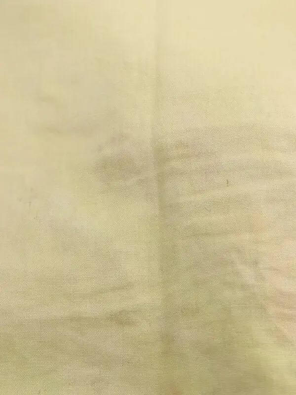 Chloé Scalloped Hem Shift Dress