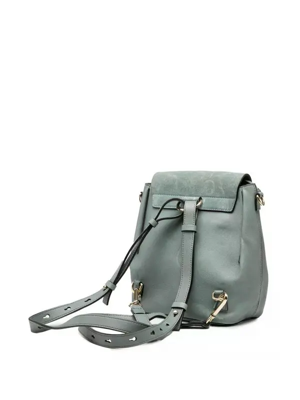 Chloé 2017 Medium Calfskin And Suede Faye Backpack