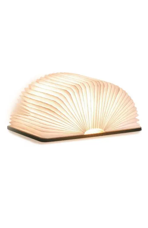 GINGKO Smart Book Light