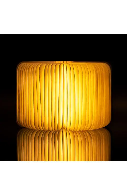 GINGKO Smart Book Light