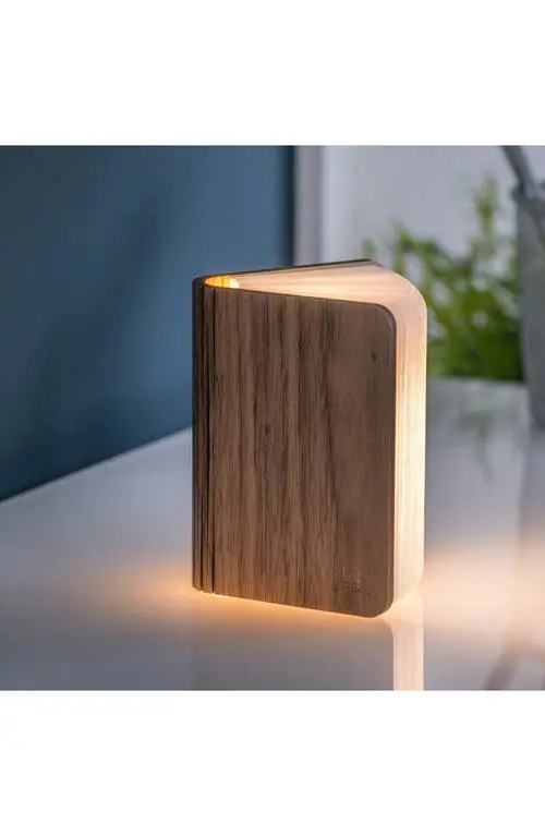 GINGKO Smart Book Light - Mini
