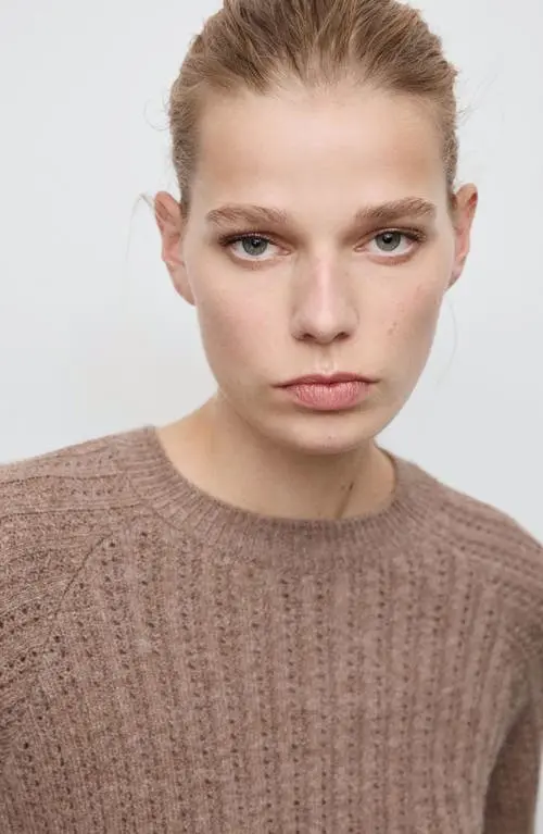 Mango Pointelle Crewneck Sweater - Brown