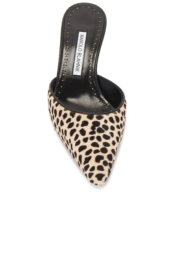 Manolo Blahnik Carolynemu 50 Pumps