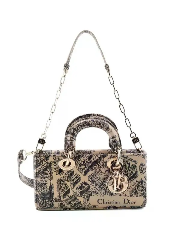 Dior Lady D-joy Printed Leather Small Satchel