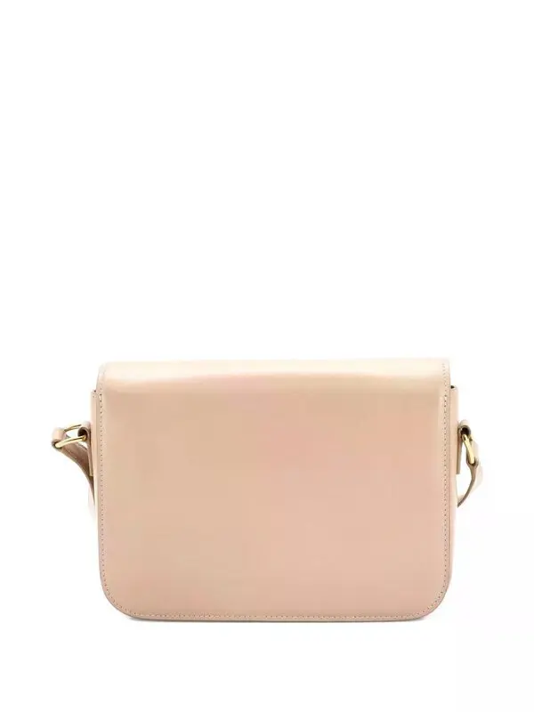 Celine Triomphe Shoulder Bag Smooth Calfskin Medium - Neutrals