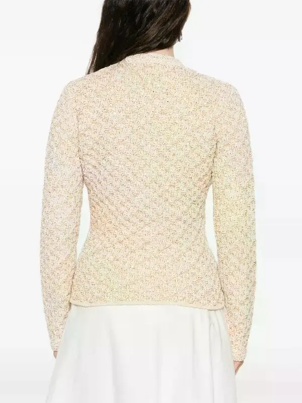 Fabiana Filippi Zip-up Fitted Jacket