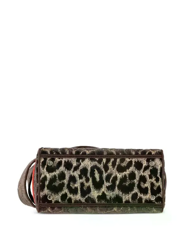Dior Lady D-lite Mizza Leopard-print Tote Bag