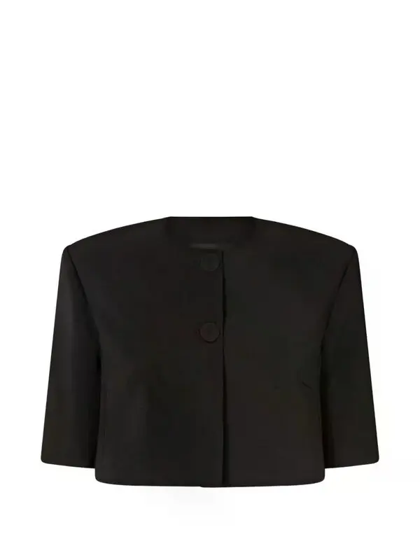 Pinko Buttoned Cropped Jacket