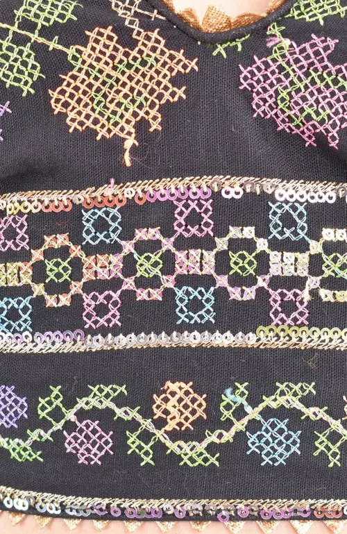 RAAS Embroidered Chaniya Choli Set