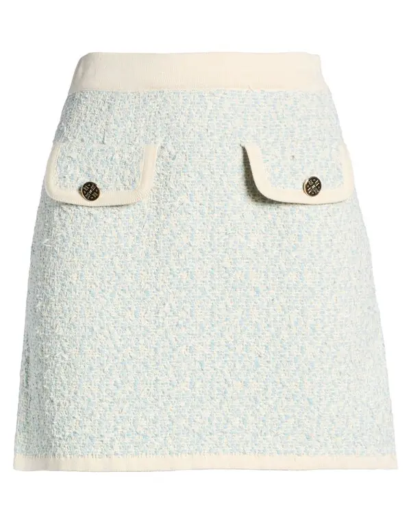 Elisabetta Franchi Flared Mini Skirt