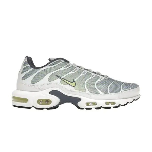 Nike Air Max Plus Sneakers - Grey