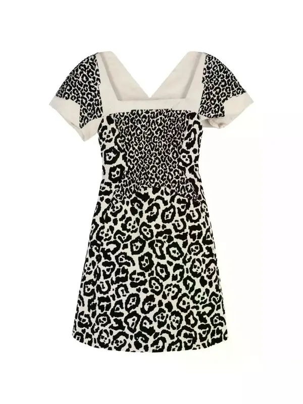 Antonio Berardi Leopard-print Mini Dress