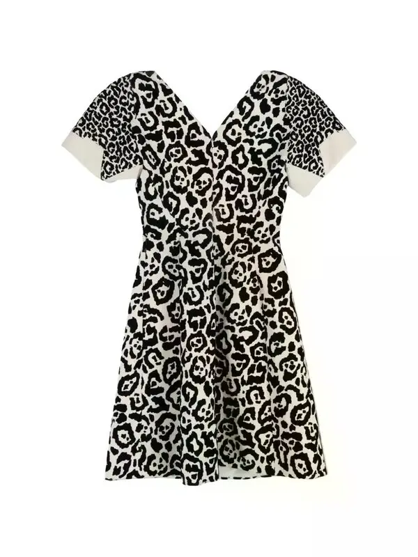 Antonio Berardi Leopard-print Mini Dress