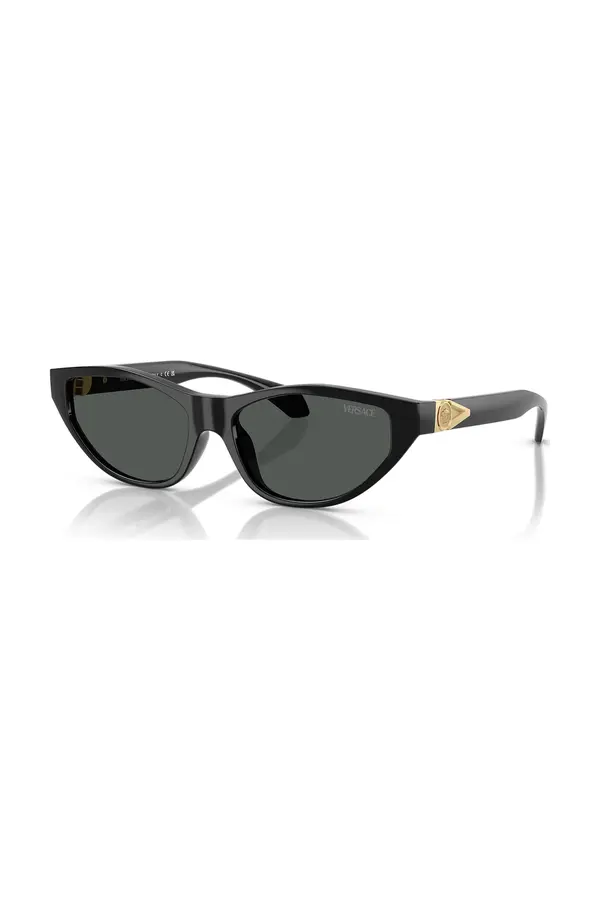 Versace Ve4491u Sunglasses - Black