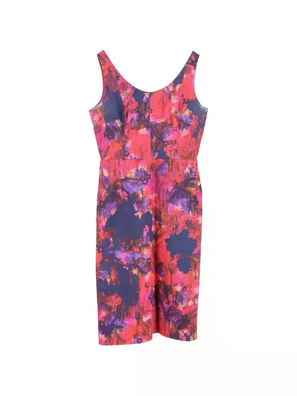 Erdem Printed Sleeveless Dress