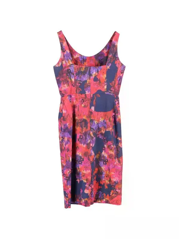 Erdem Printed Sleeveless Dress