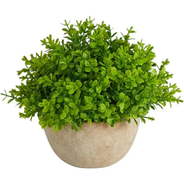NEARLY NATURAL 5-in Boxwood Artificial Plant In Decorative Planter - Green