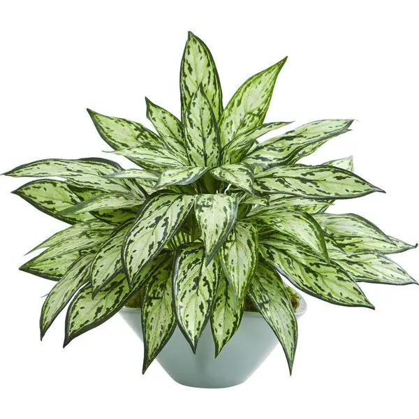 NEARLY NATURAL Silver Queen Artificial Plant