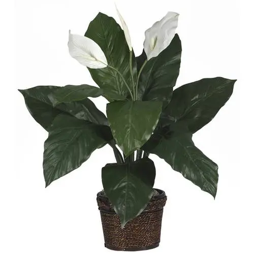 NEARLY NATURAL Spathiphyllum With Wicker Artificial Plant - Green
