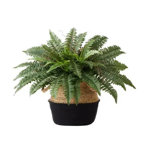 NEARLY NATURAL 23-in Artificial Boston Fern Plant With Handmade Jute & Cotton Basket Diy Kit - Green