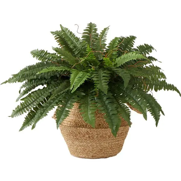 NEARLY NATURAL 23-in Artificial Boston Fern Plant With Handmade Jute & Cotton Basket Diy Kit - Green