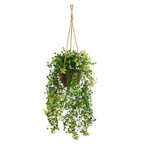 NEARLY NATURAL 20-in Baby Tear Artificial Plant In Hanging Basket - Green