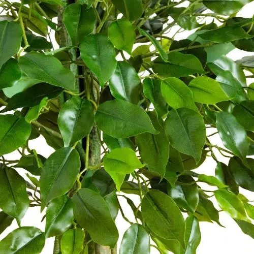 NEARLY NATURAL 3.5-ft Uv Resistant Artificial Ficus Tree