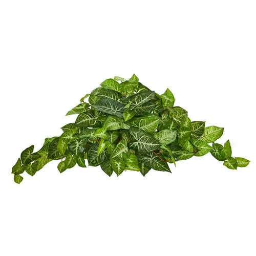 NEARLY NATURAL 36-in Nephthytis Artificial Ledge Plant - Green