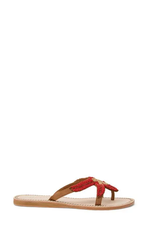 Jack Rogers Starland Sandal - Red Multi