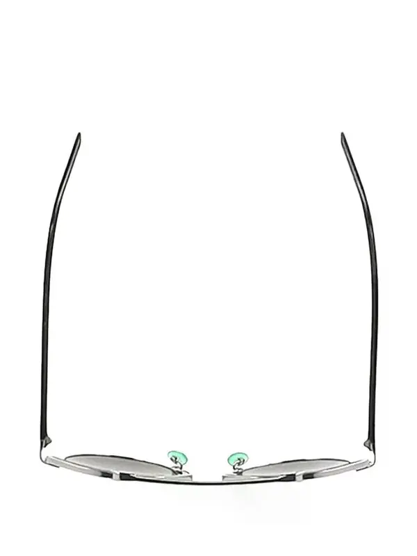 Dior Browline Frame Sunglasses