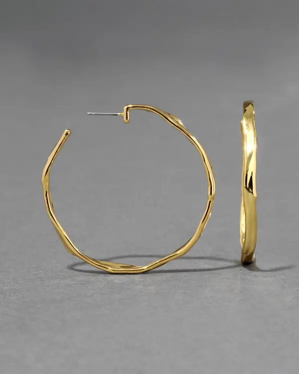 Alexis Bittar Brut Hoop Earrings