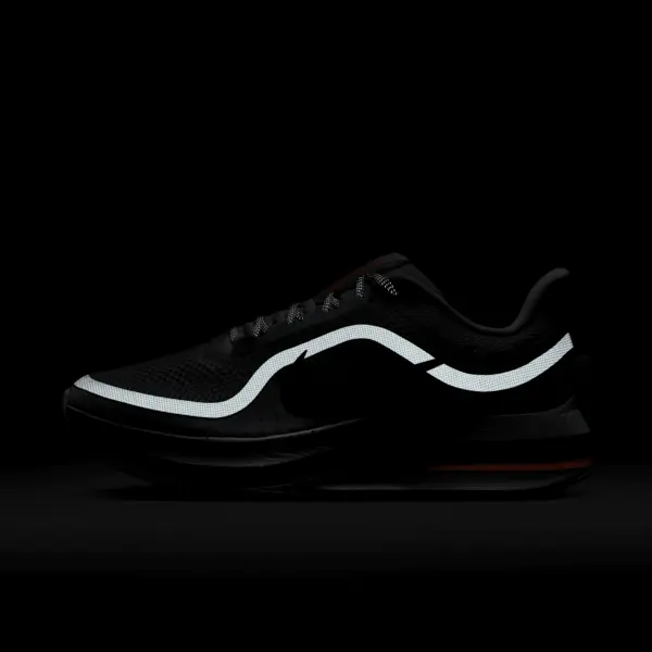 Nike Pegasus Premium Road Running Shoes