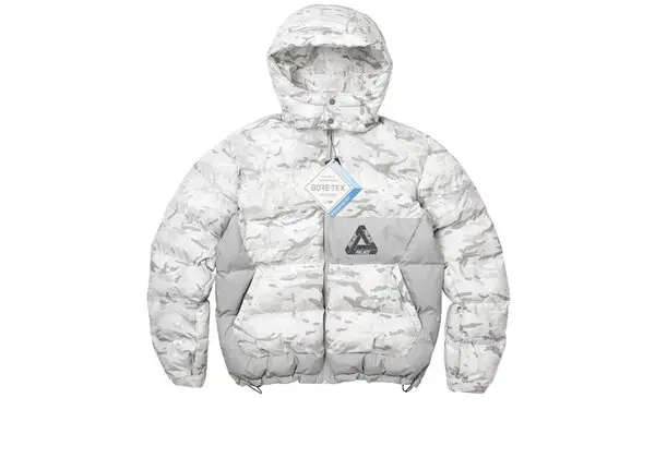 PALACE Gore-tex Infinium Puffa