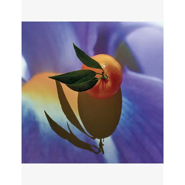 Loewe Solo Elixir Edp