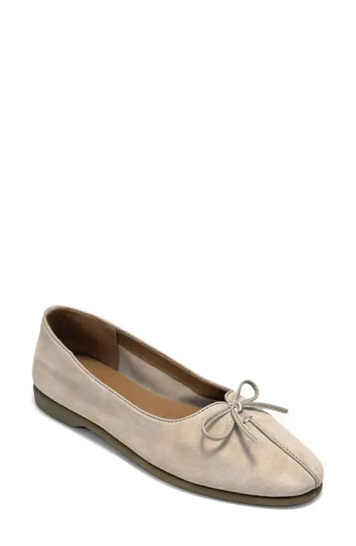 Aerosoles Novia Ballet Flat - Stone