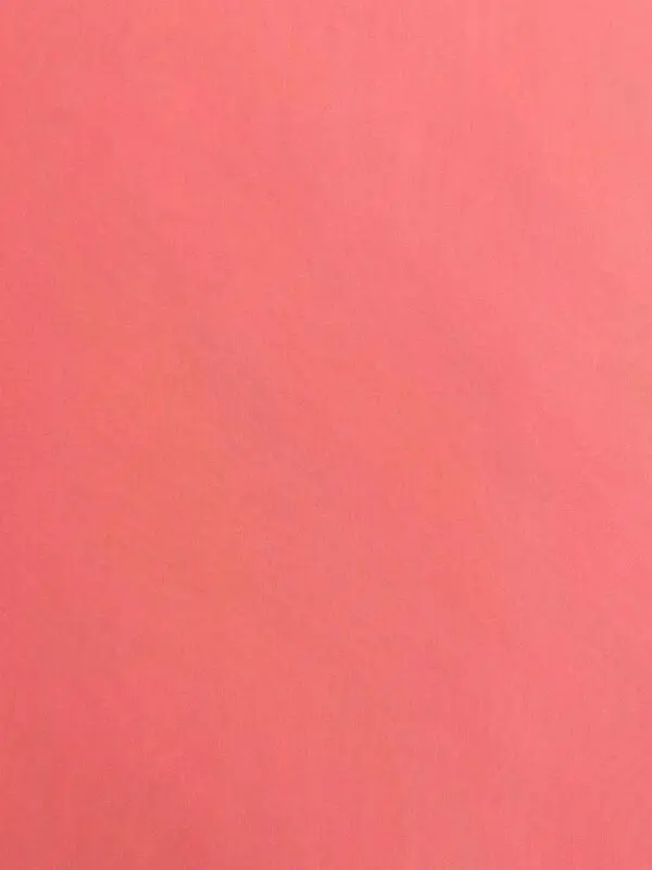 Alberta Ferretti Silk Scarf - Pink