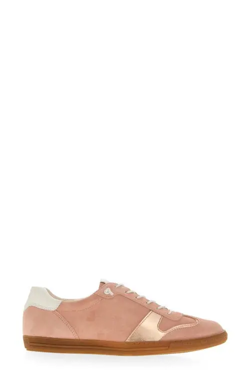 Paul Green Alison Sneaker - Rose Rosato Soft Suede