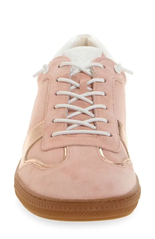 Paul Green Alison Sneaker - Rose Rosato Soft Suede