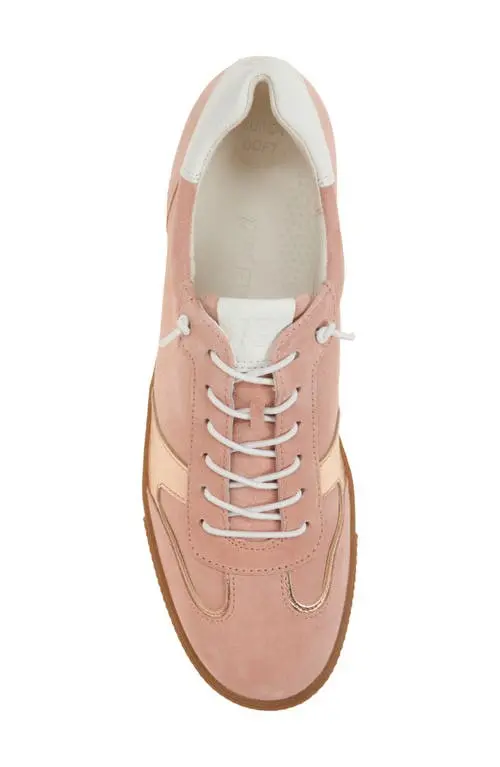 Paul Green Alison Sneaker - Rose Rosato Soft Suede