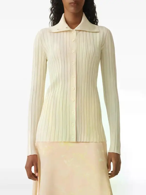 Fabiana Filippi Chunky-ribbed Cardigan