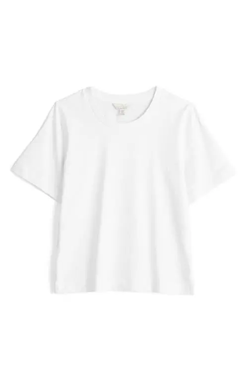 SEASALT CORNWALL Copseland Organic Cotton T-shirt - Salt