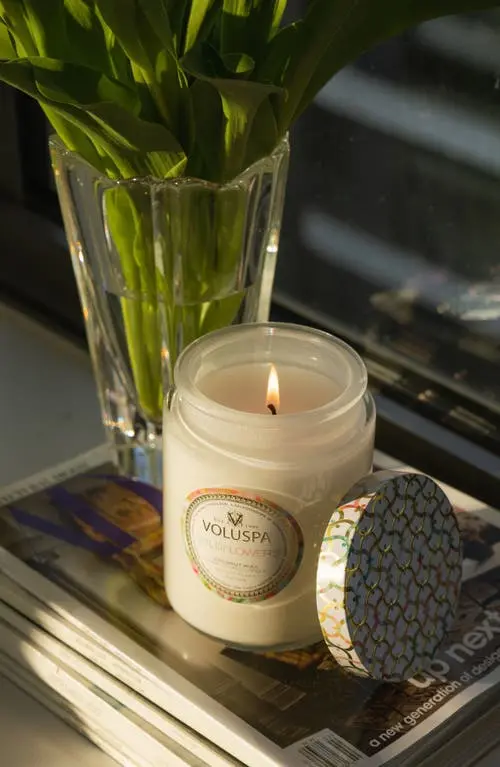 Voluspa Large Jar Candle