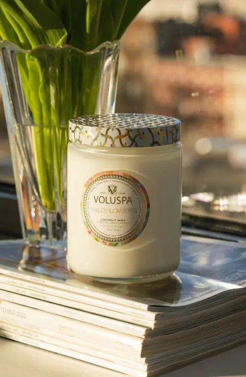 Voluspa Large Jar Candle