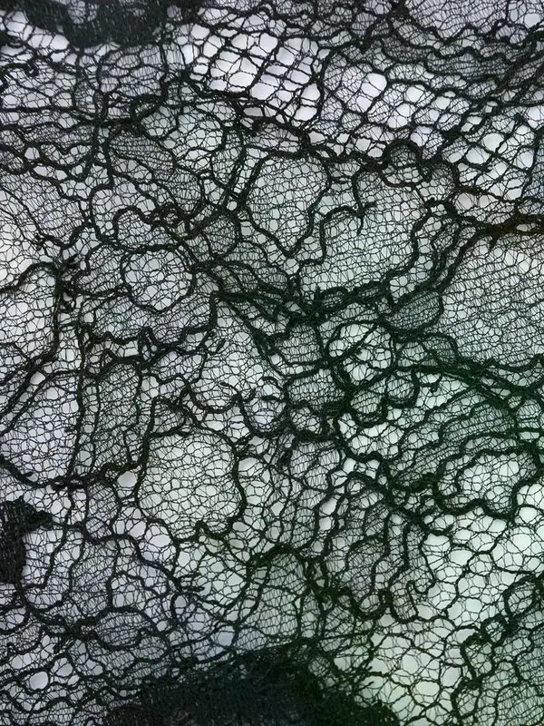 Valentino Garavani Lace Trim Scarf