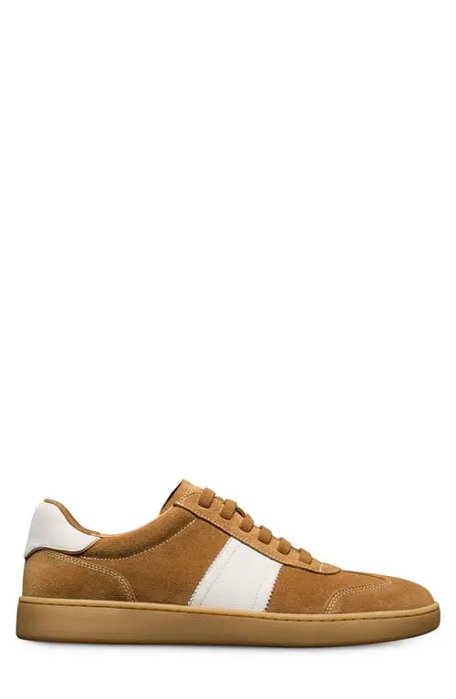 Allen Edmonds Ludlow Slip-on Sneaker - Fawn