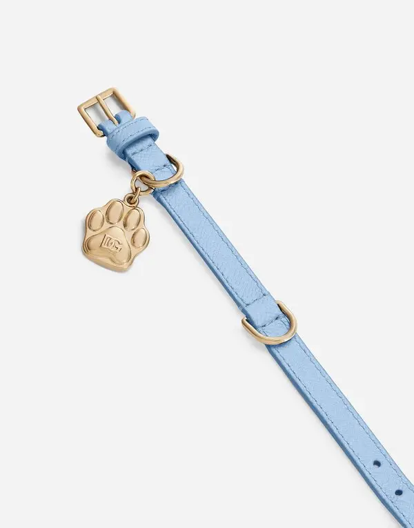 Dolce & Gabbana Dog Collar - Azure