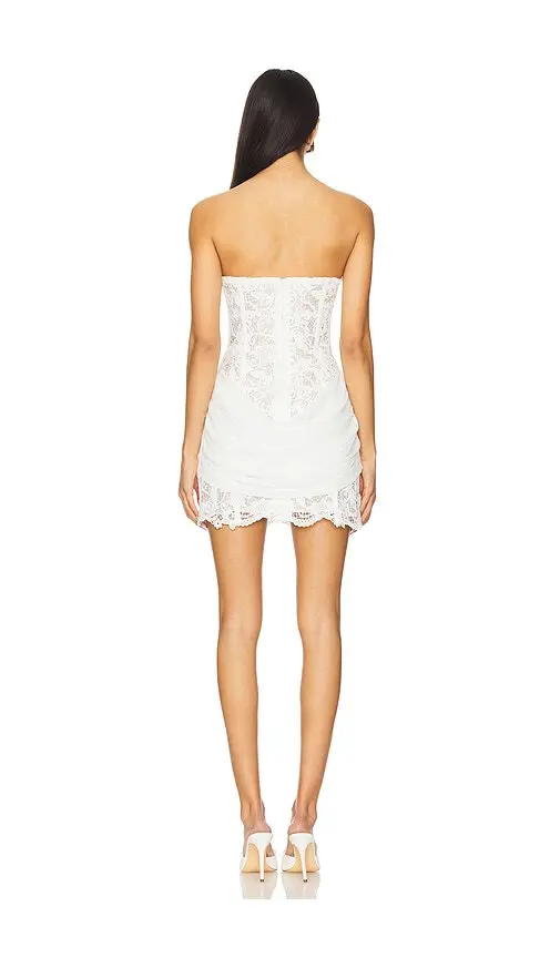 Majorelle Lace Corset Mini Dress